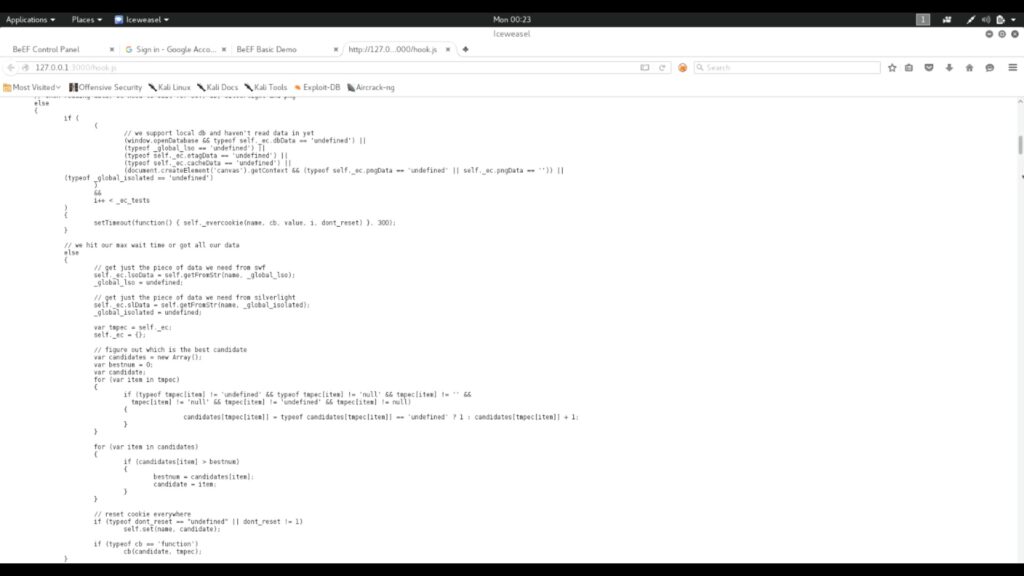 BeEF 101 - Browser Exploitation Framework | HackersGrid
