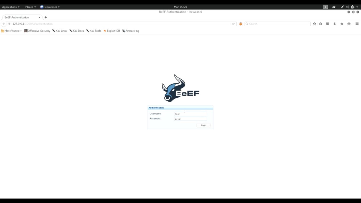 BeEF 101 - Browser Exploitation Framework | HackersGrid